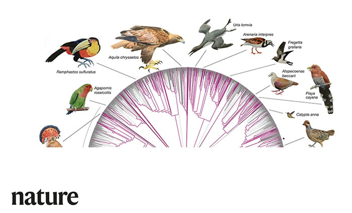 Projeto Aves - Notícias - Estudo global revela segredos genéricos das aves